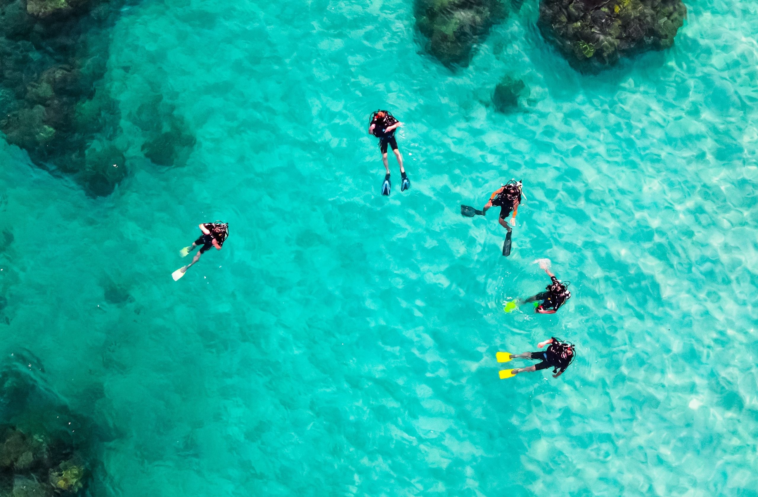 Best Scuba Diving in Fiji: Where to Play and Stay | Tavola Villa Fiji